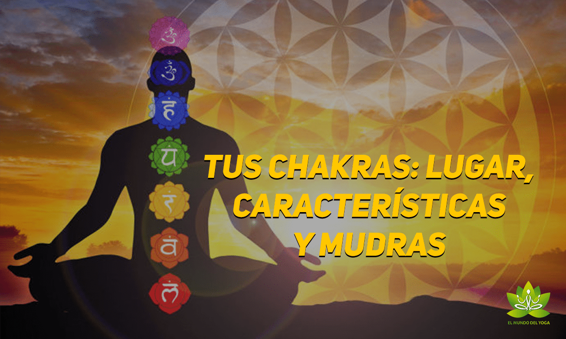 Tus Chakras: Lugar, Características y Mudras - El Mundo del Yoga